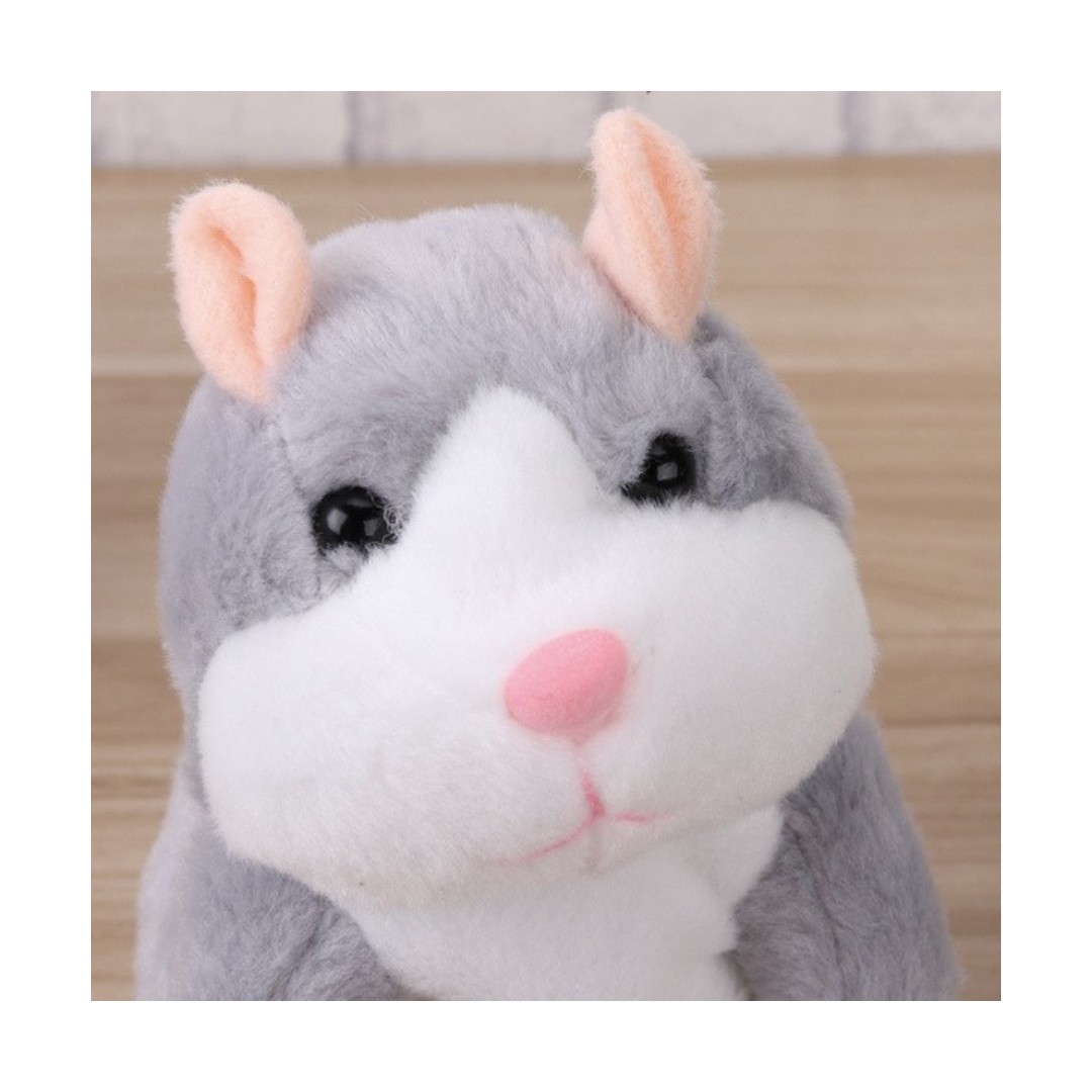 Cumpara Pachet Promo : Jucarie interactiva Hamsterul Vorbitor + Tableta ...